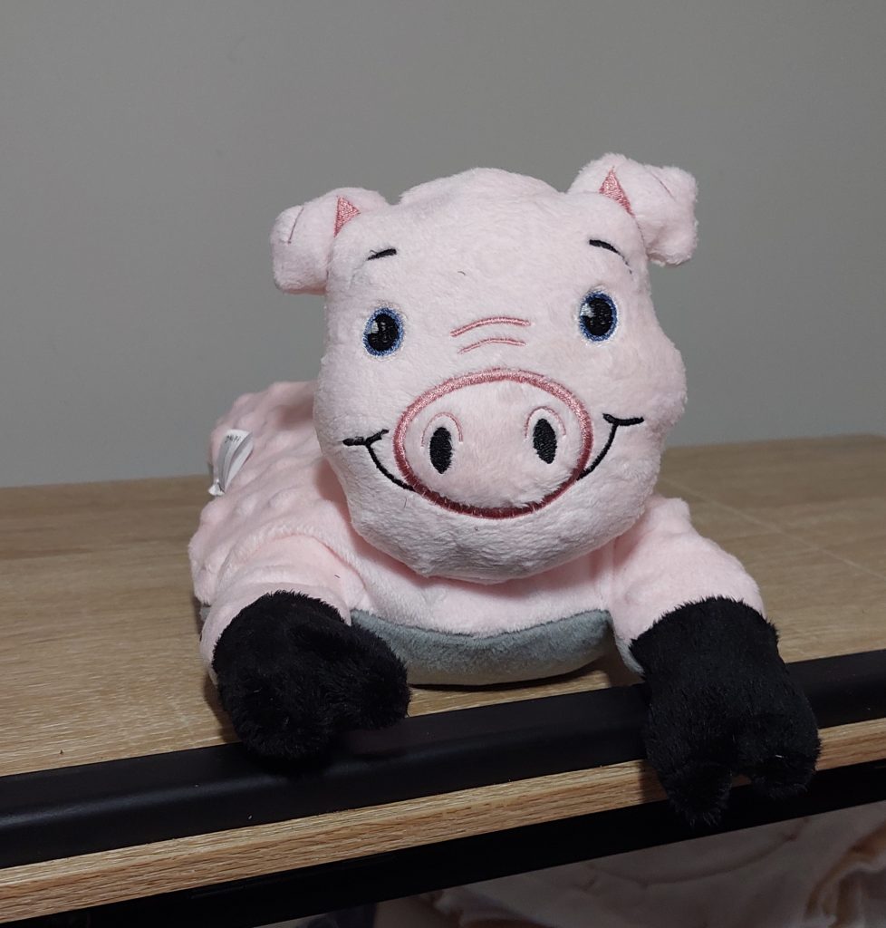 Crawling pig stuffie 7.5×11 – ITHWL – In the Hoop with Lee